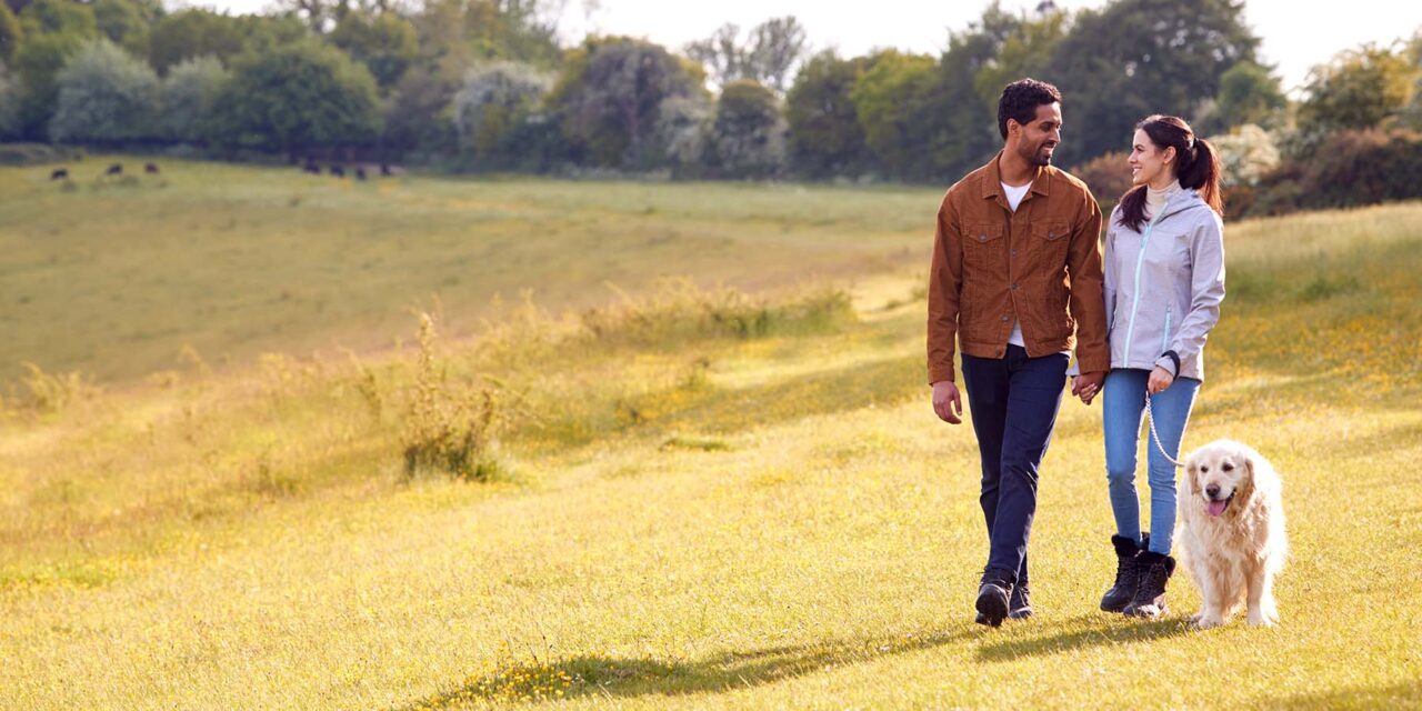 Couples Health Insurance: Joint Coverage Perks | Healthplan